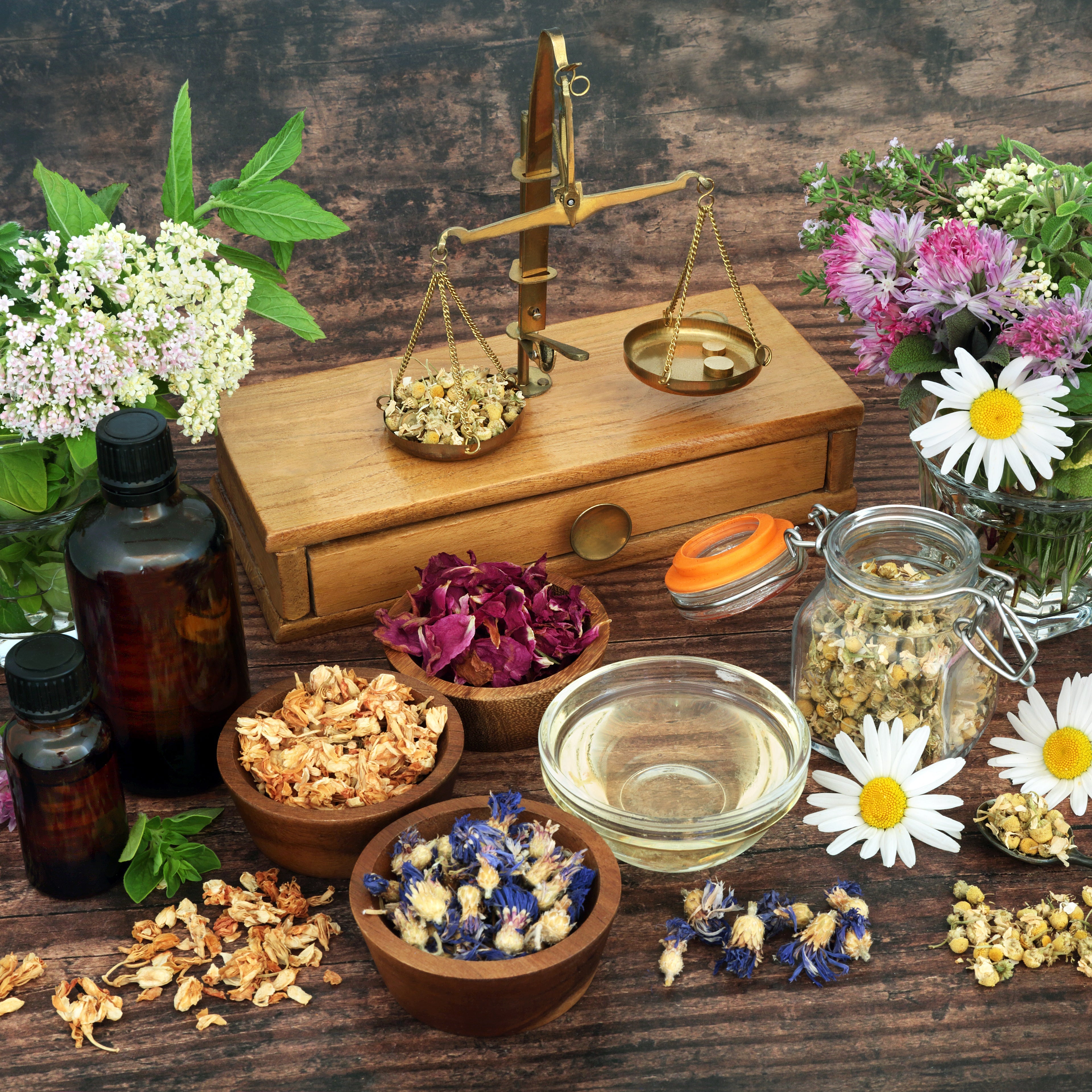 The Science Behind Plant Medicine: Unlocking Nature's Wellness Secrets ...